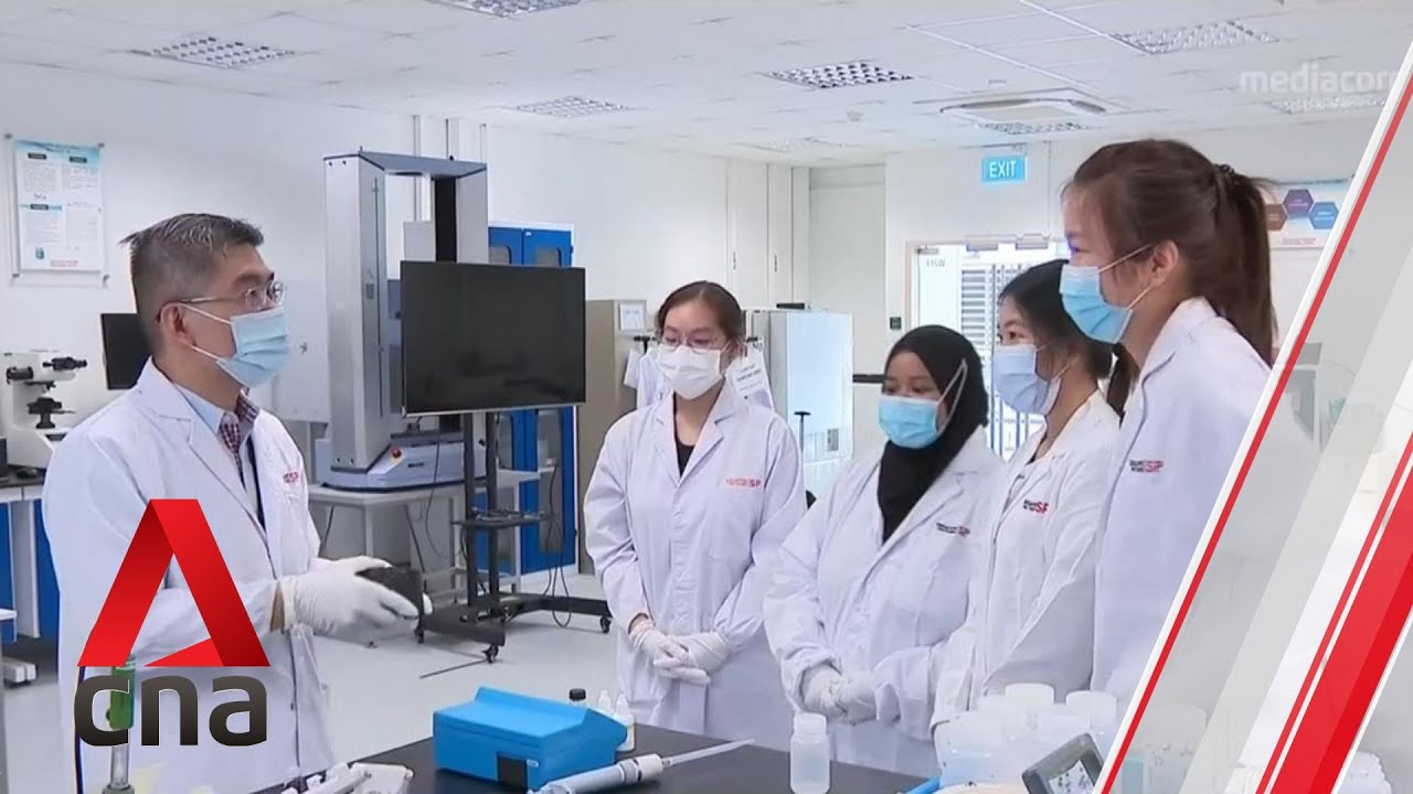 Polytechnics and ITE to review curricular offerings - YouTube