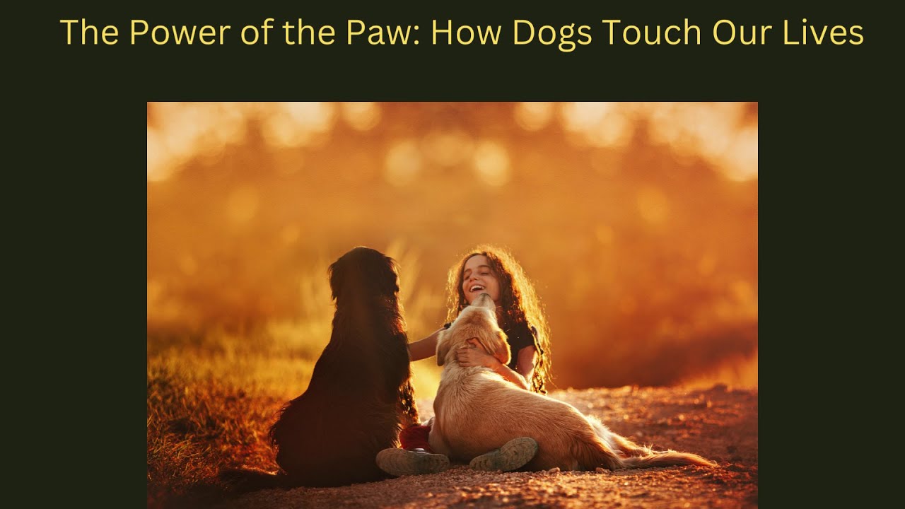 The Power of the Paw: How Dogs Touch Our Lives - YouTube