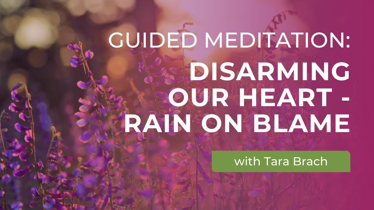 Guided Meditation: Disarming Our Heart - RAIN on Blame with Tara Brach ...