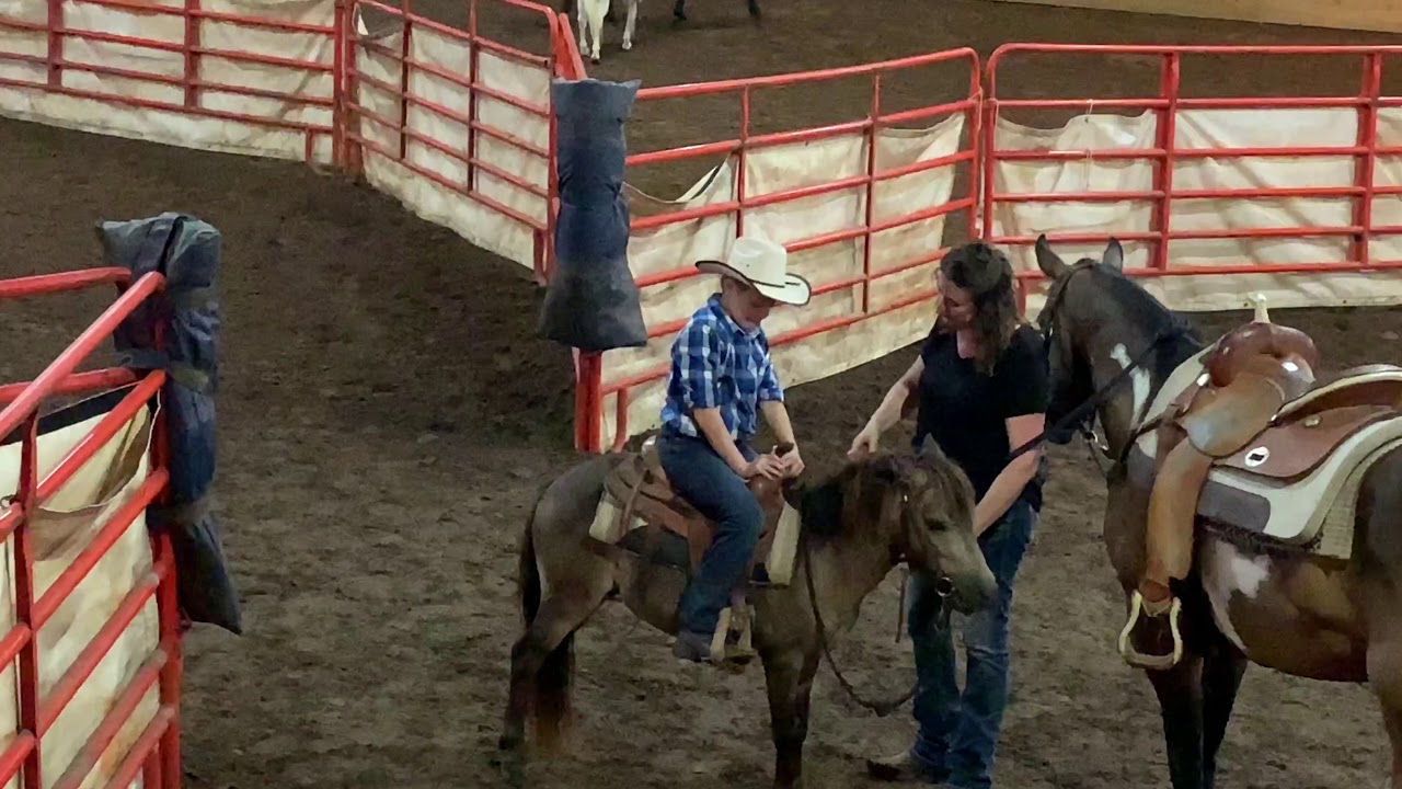 Wyatt Riding “Walnut” - YouTube