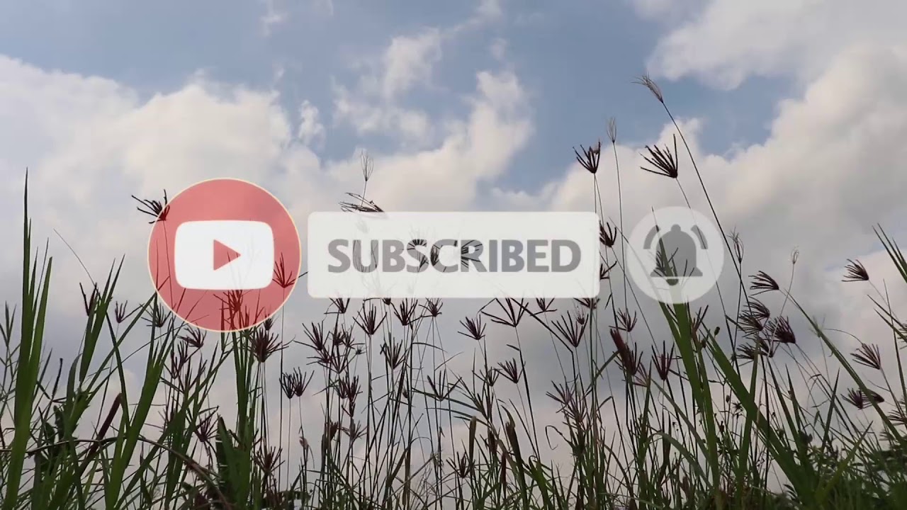 Murottal Syekh Abdullah Matroud QS || 112 Al Ikhlash - YouTube