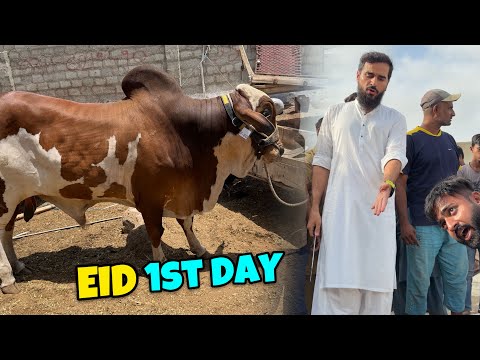 Eid ka pehla din aur hum qasai ban gae 😳