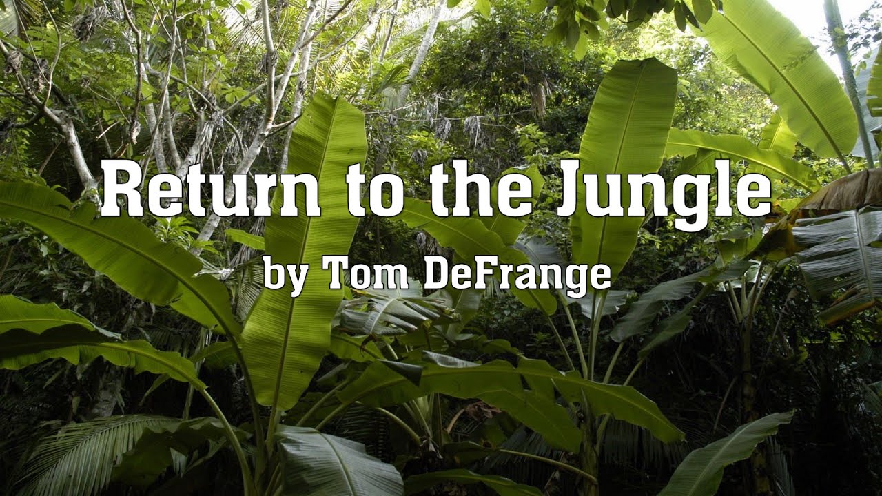 Return to the Jungle by Tom DeFrange - YouTube