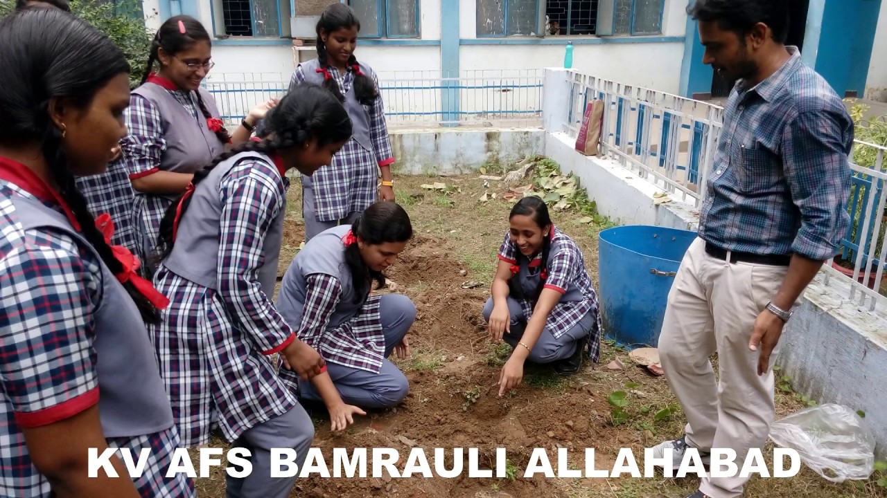 KV BAMRAULI VIDYALAYA, PRAYAGRAJ AT A GLANCE - YouTube