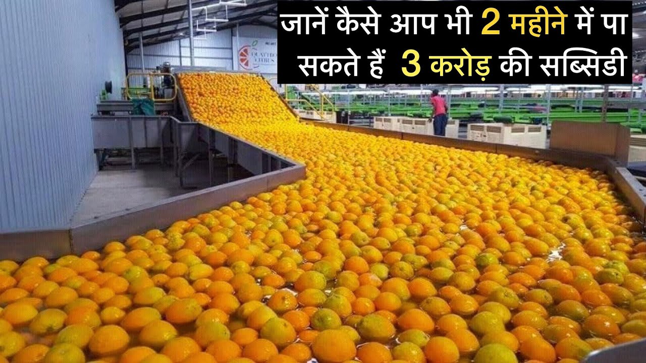 90% सब्सिडी लेकर हरयाणा के किसानों ने लगाया यह शानदार संतरे की फैक्ट्री || Kinnow Processing ...