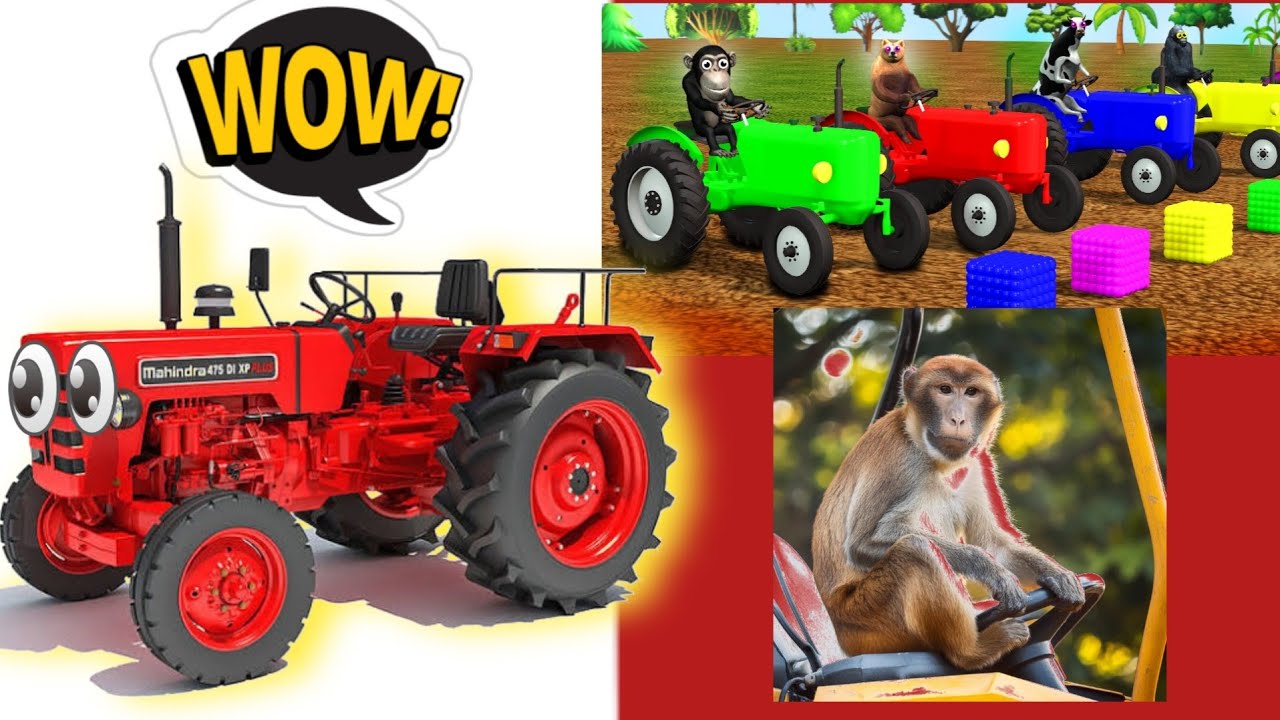 Animal Tractors to cross the bridge Cow Bear Bull Monkey Gorilla # ...