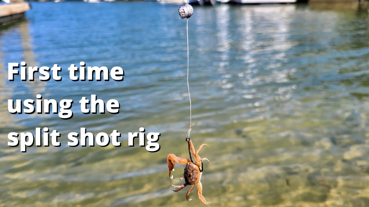 Giving the Split Shot Rig the Old College Try on an Insanely Windy Day ...