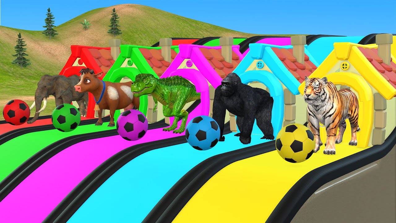 Long Slide Game With Elephant Gorilla Buffalo Hippopotamus Tiger - 3d ...
