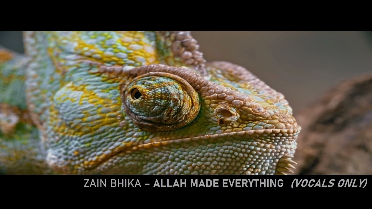 Zain Bhika - Allah Made Everything (vocals only) - YouTube