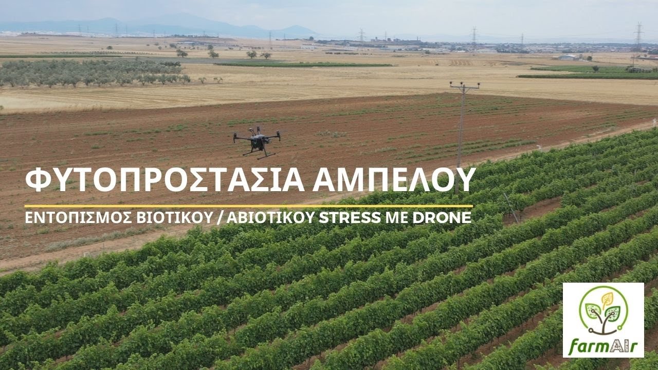 Φυτοπροστασία Αμπέλου | Τεχνητή Νοημοσύνη (AI) Και Drone Στην Υπηρεσία ...