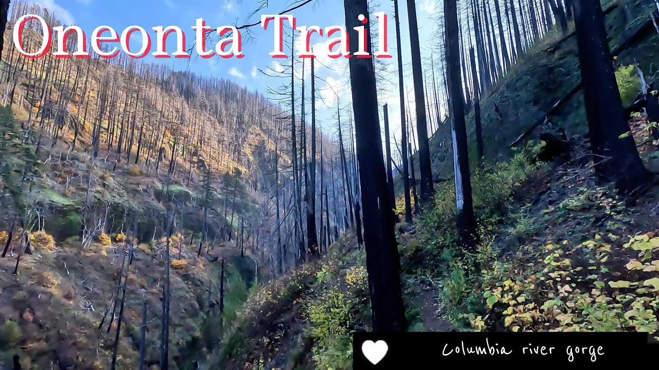Oneonta Gorge Trail | Columbia river gorge hiking - YouTube