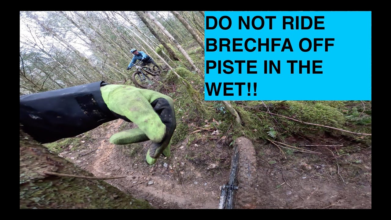 We all crashed Riding Brechfa off piste MTB trails in the Wet - YouTube