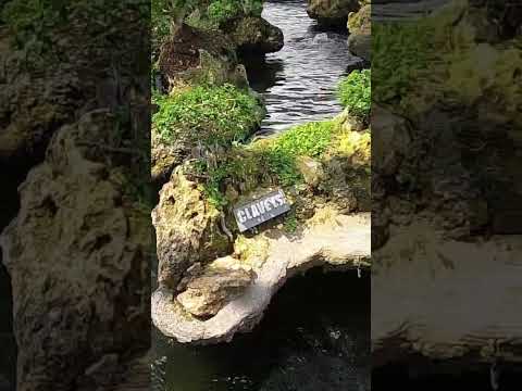 Hundred Islands - Miniatured Replica at Lucap Alaminos | Tourist Spots in Pangasinan