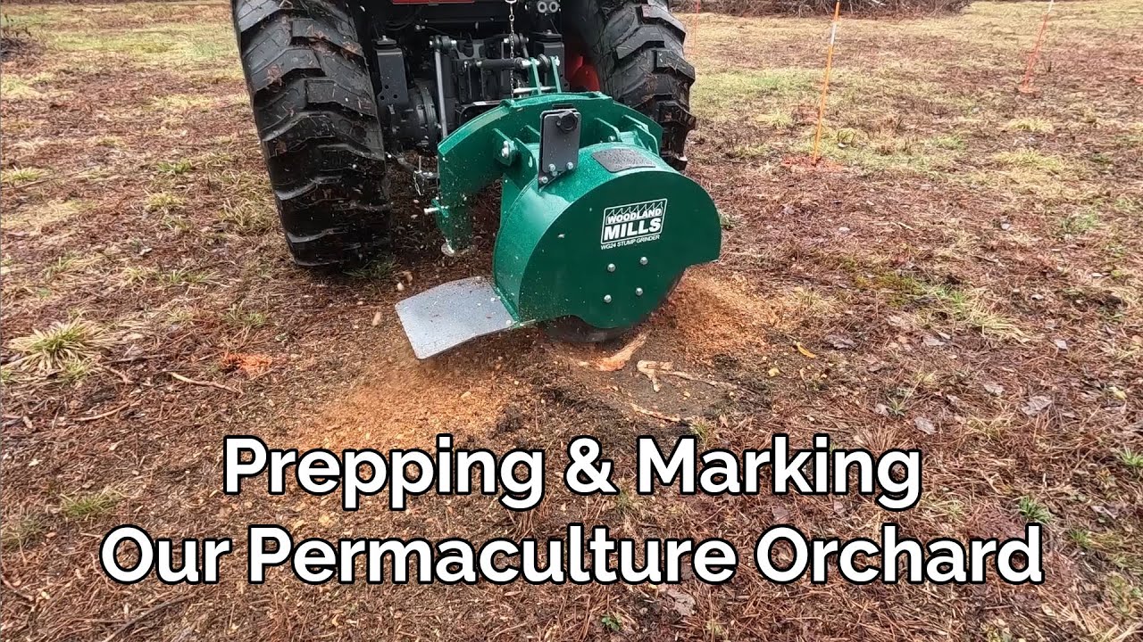 Placing Stakes and Grinding Stumps | Starting a Permaculture Orchard ep ...