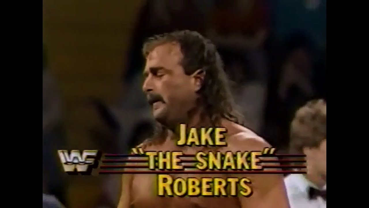 Jake Roberts vs Buddy Rose SuperStars May 5th, 1990 - YouTube