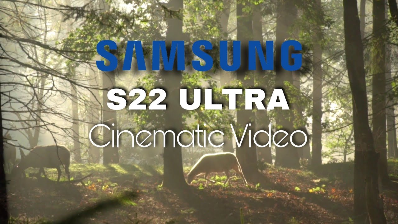 Samsung S22 Ultra Camera test || Cinematic Video || 4k Video. - YouTube