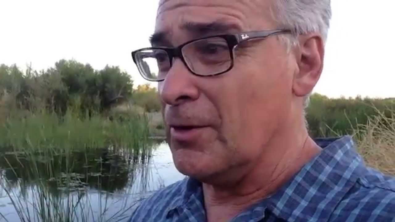 Freshwater Marsh Biome - YouTube