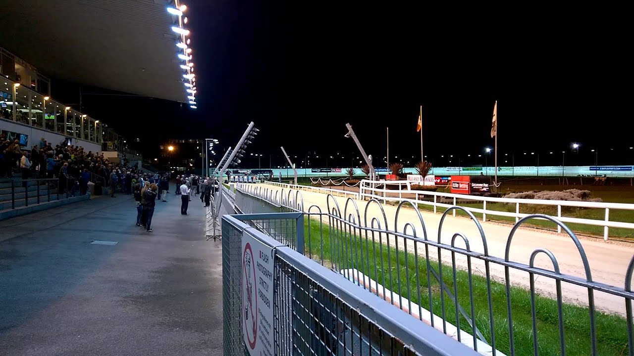 Dublin dogs races - YouTube