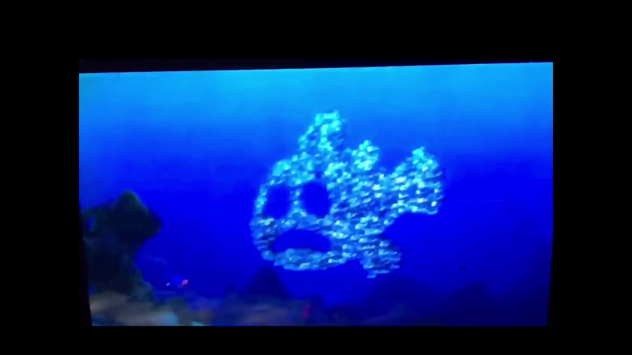 Dory’s flashback lilo and stitch screaming - YouTube