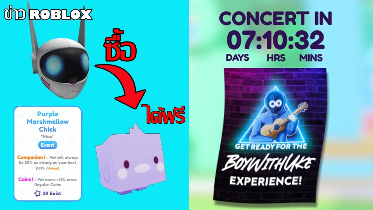 ซื้อไอเทมแถมสัตว์เลี้ยง Pet sim X , คอนเสิร์ต BoyWithUke , หัว Dynamic ...