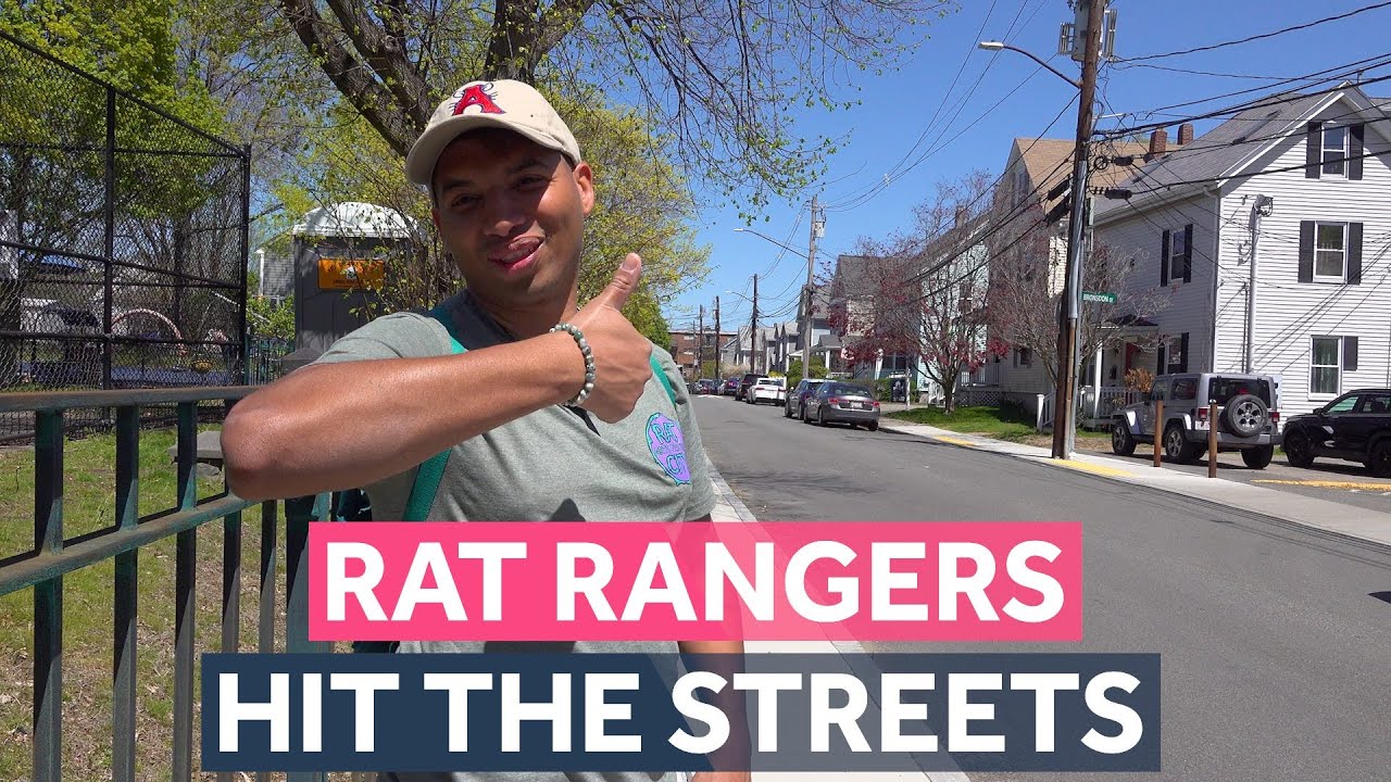 Boston neighborhood festival's 'Rat Walk' highlights notorious rodent ...