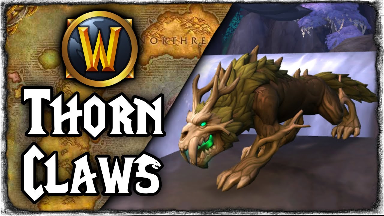New Cat Tame Thorn Claw Guide - Patch 10.2 | World of Warcraft - YouTube