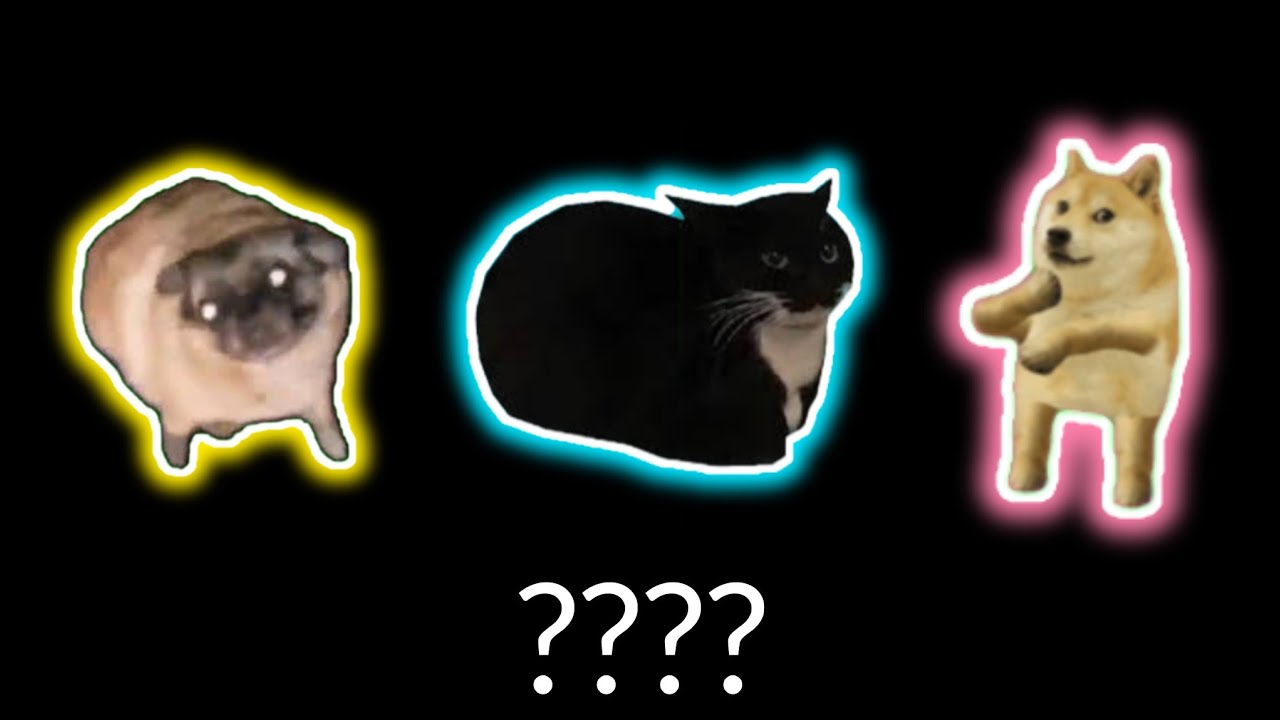 7 Maxwell The Cat and Pug and Doge Dancing Sound Variations In 53 ...