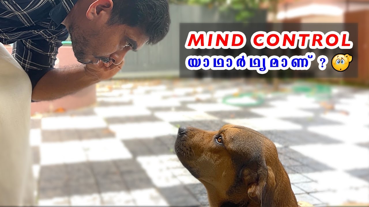 😳😵‍💫 Mind Control: Power or Paranoia? ആരൊക്കെ ഉണ്ട് ഈ ചലഞ്ചിന്? - YouTube