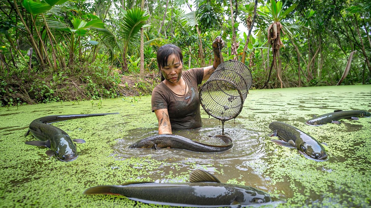 Fishing: Catching Giant Fish in the Hidden Swamp | by ...
