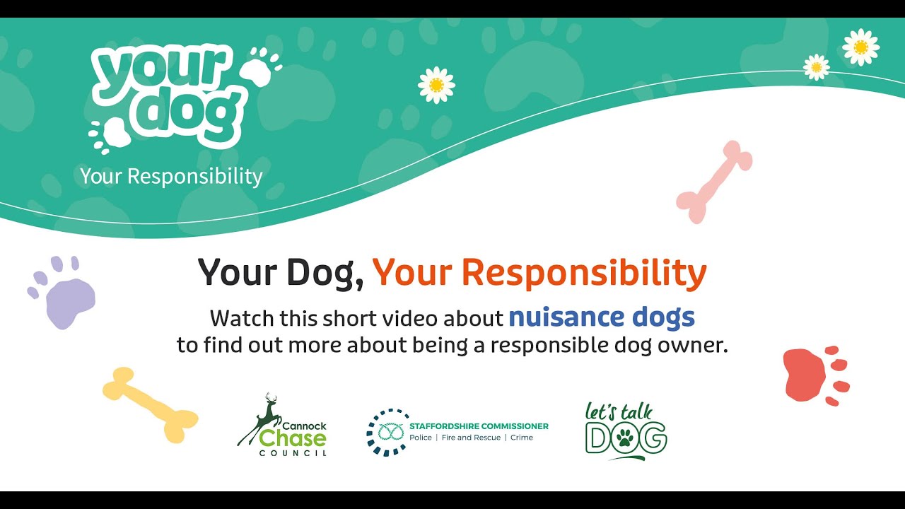 Let's Talk Dog - Nuisance Dogs - YouTube
