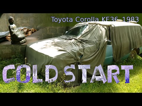 First start in years | cold start | Toyota corollaKE36 |  How will start car after years? #coldstart