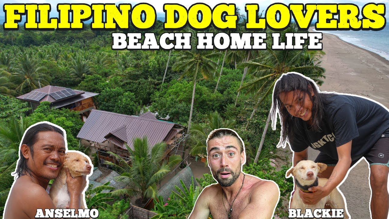 FILIPINO DOG LOVE - Beach Home Life In The Philippines (Cateel, Davao ...
