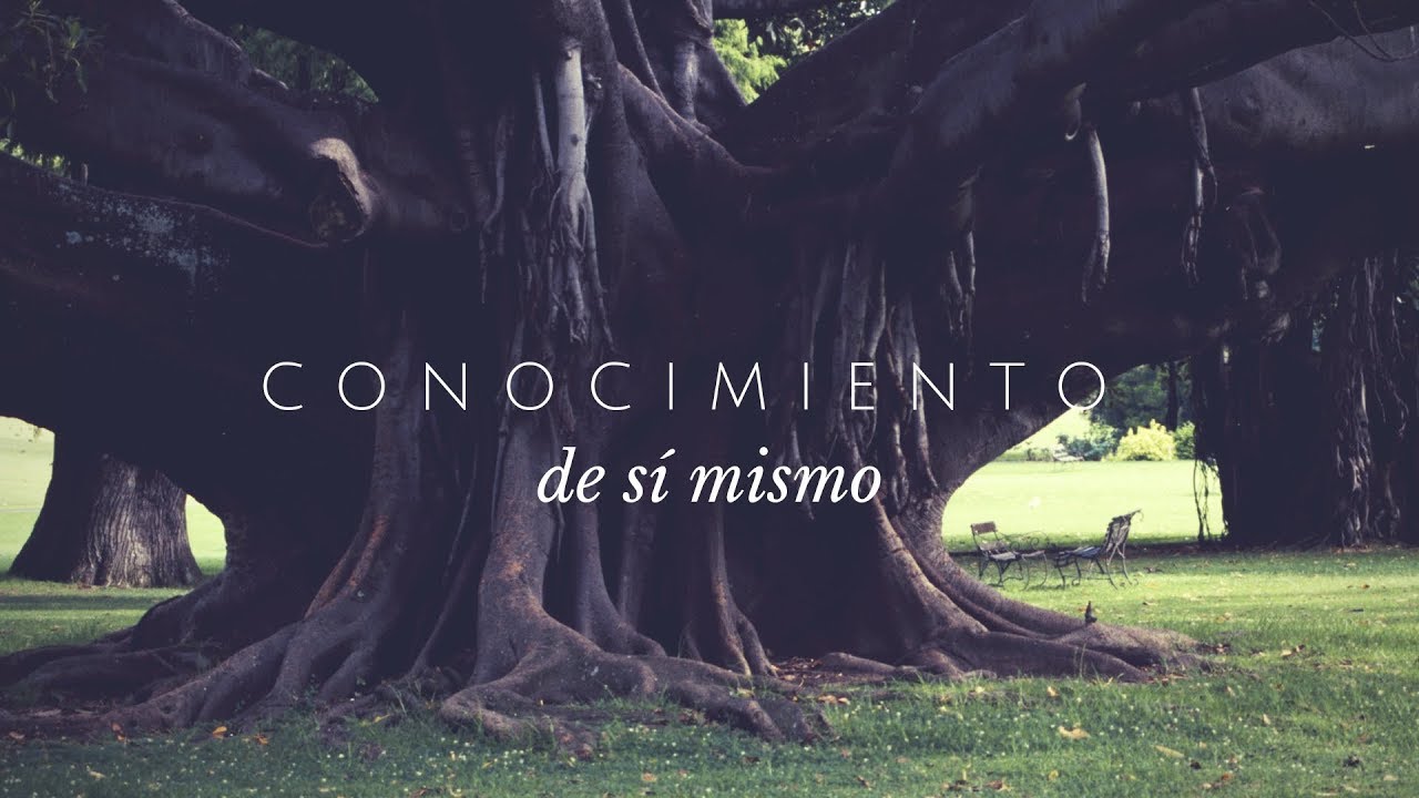 Estudio sobre la mala voluntad - YouTube