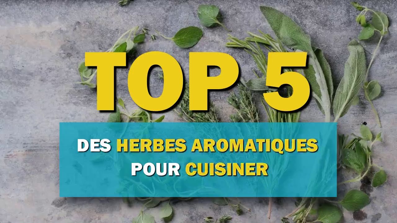 Top 5 des herbes aromatiques pour cuisiner - YouTube