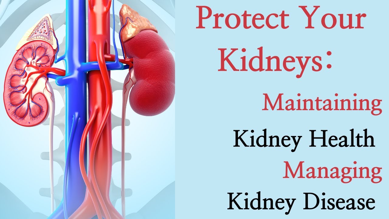 Protect Your Kidneys | Tips for Maintaining Kidney Health and Managing ...