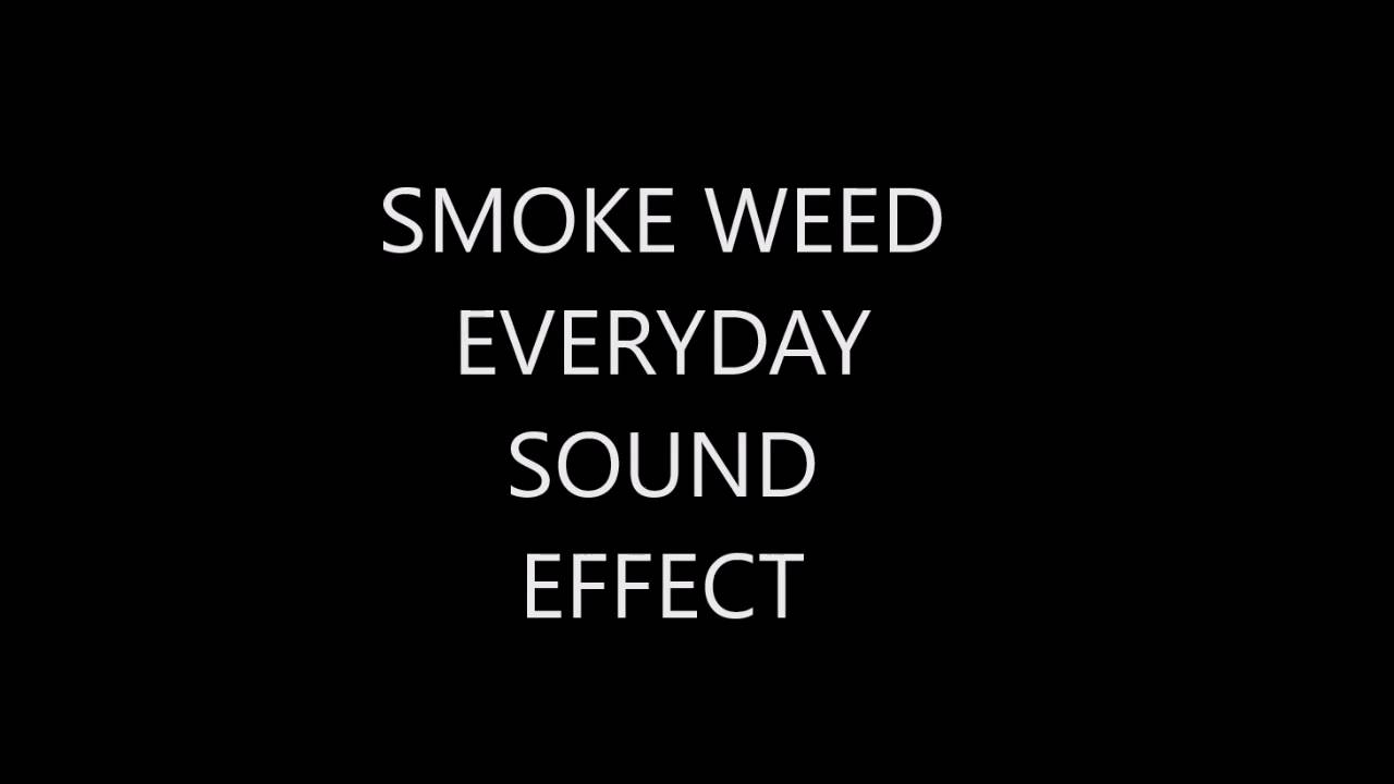 SMOKE WEED EVERYDAY SOUND EFFECT - YouTube