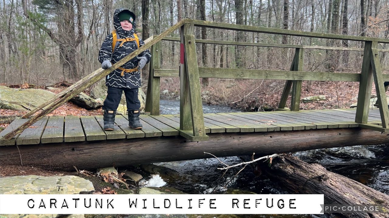 Caratunk Wildlife Refuge- Seekonk, MA - YouTube