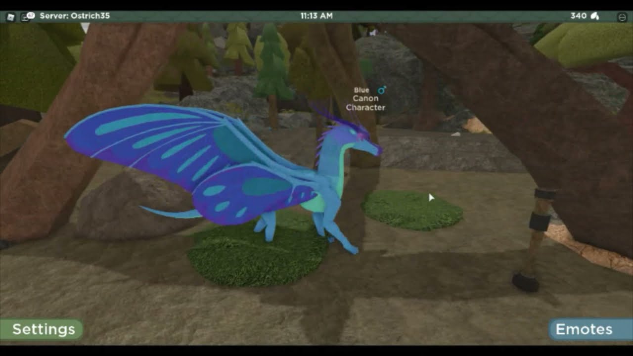 SilkWings of Cicada Hive - Speed Creation on Wings of Fire Roblox - YouTube