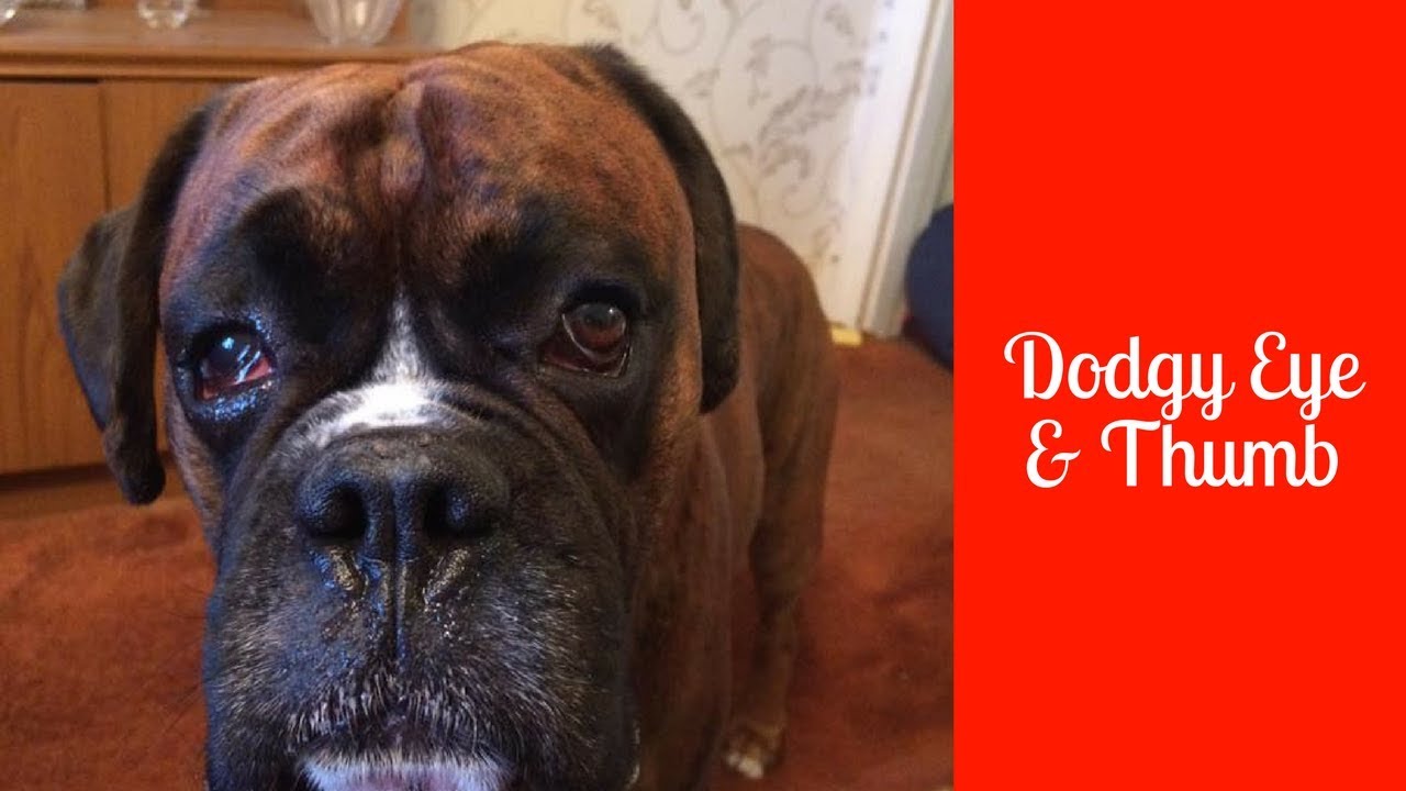Dodgy Eye & Thumb | SophieMarie - YouTube