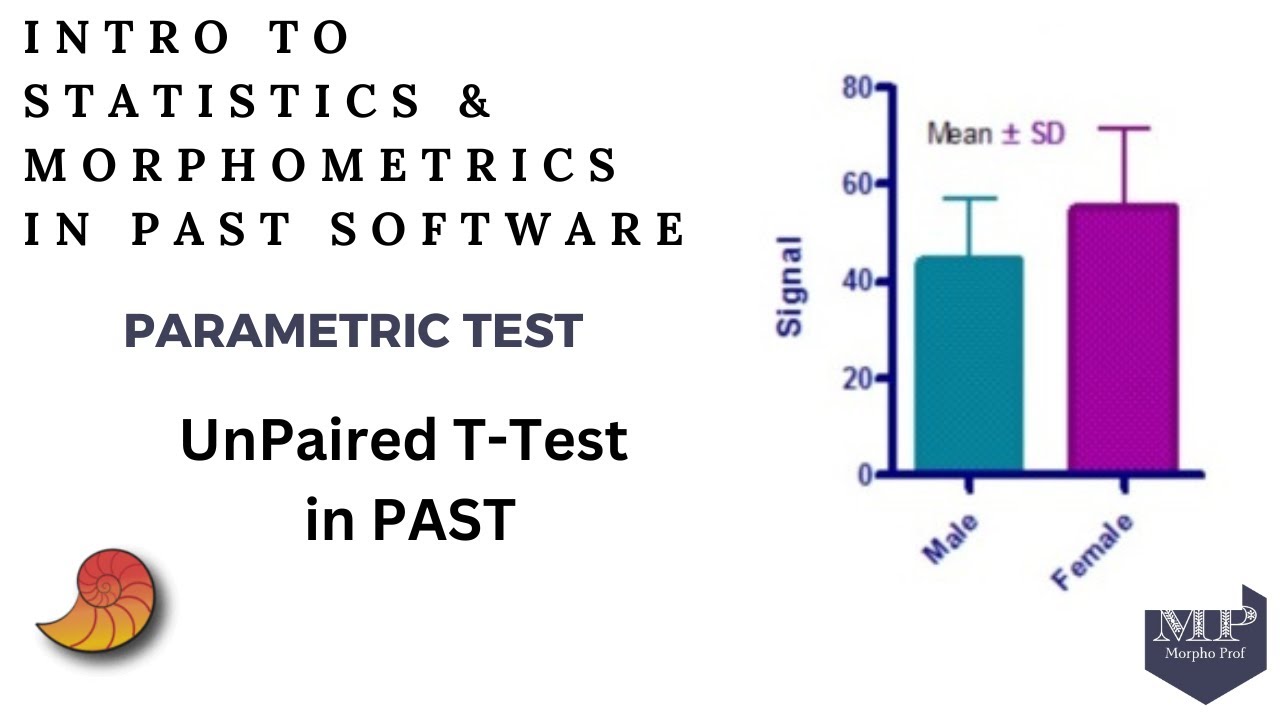 17. Parametric Test: Unpaired T-test (Independent sample) in PAST - YouTube