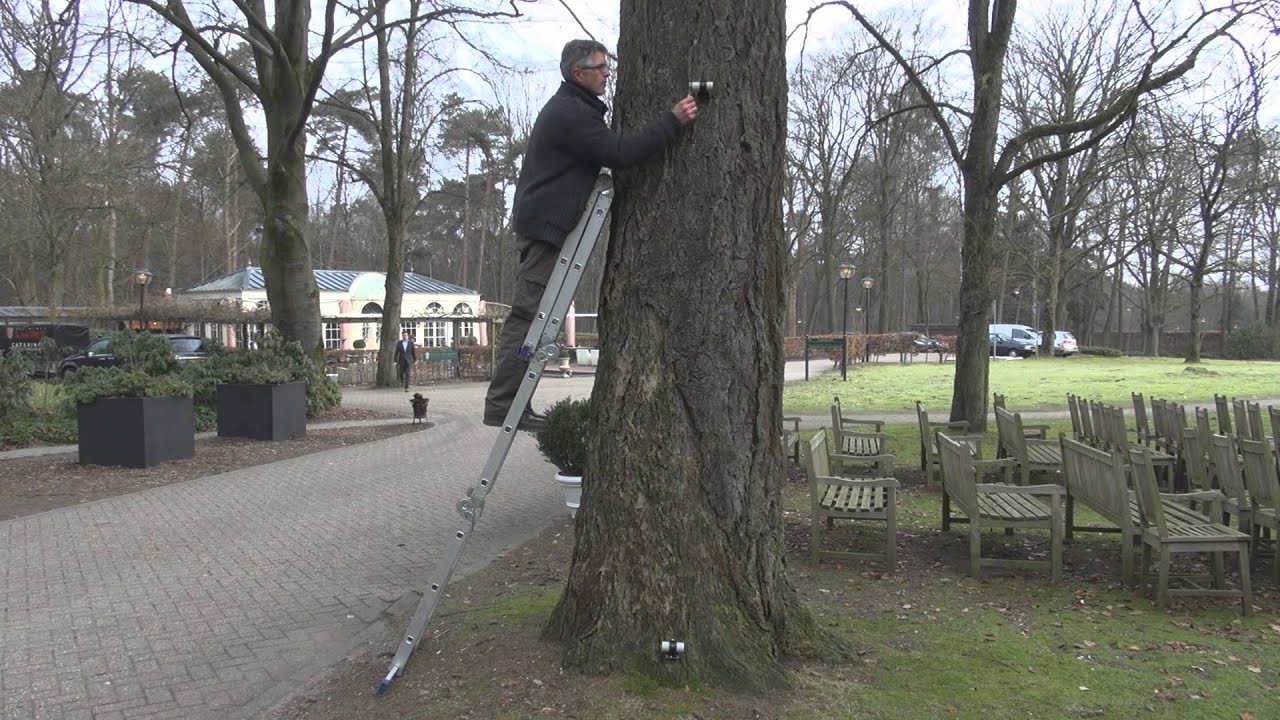 Stabiliteitsonderzoek van bomen met Tree Motion Sensors - YouTube