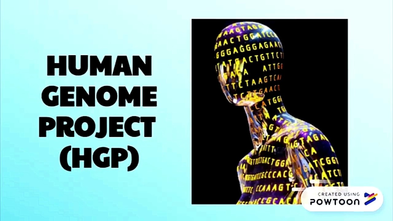 Human Genome Project (HGP) - YouTube