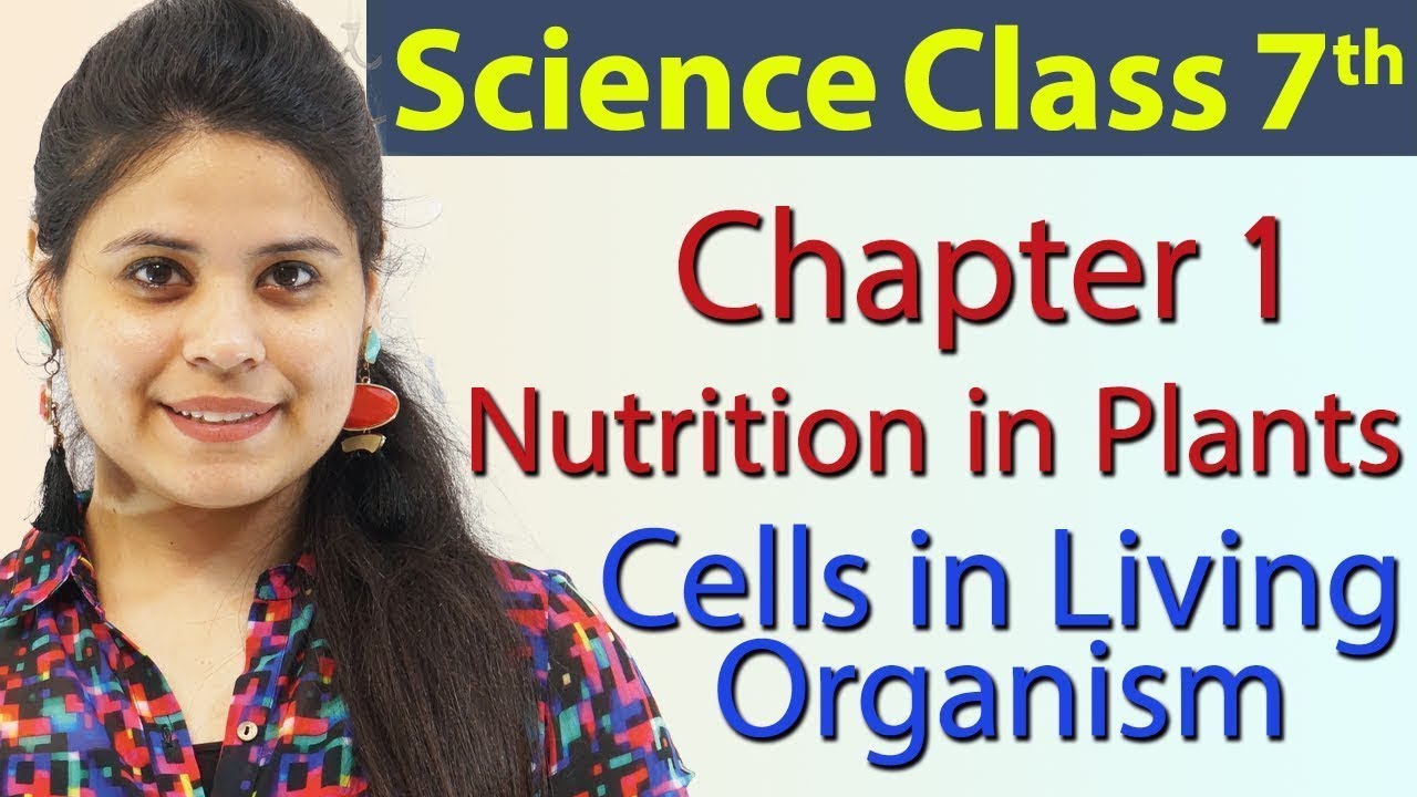 Cells in Living Organism - Chapter 1 – Nutrition in Plants - NCERT ...