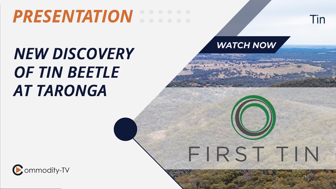 First Tin: New Tin Discovery in Taronga Called Tin Beetle - YouTube