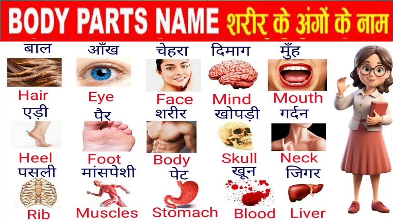 Parts of Body | Body Parts Name | Body Parts in English with Pictures ...