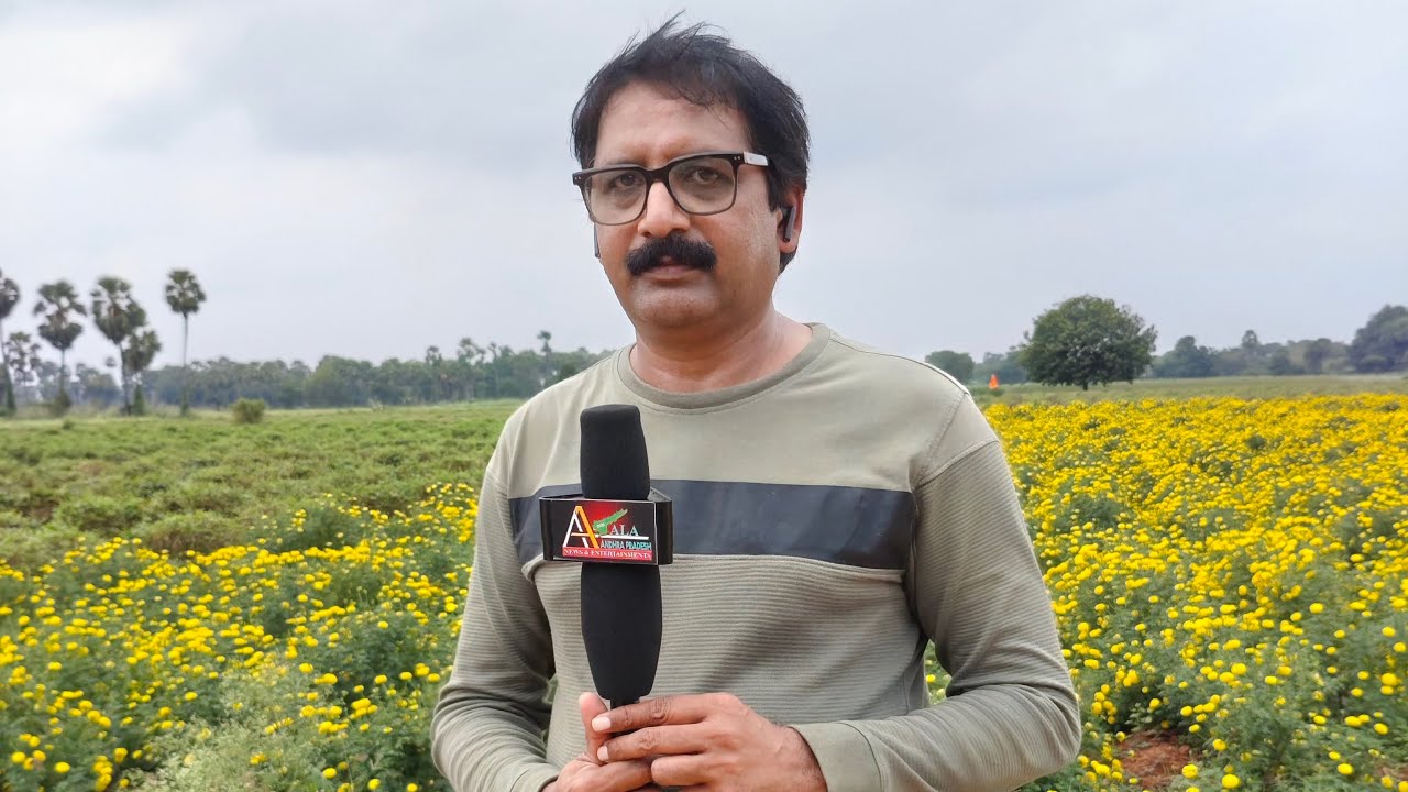 Live: స్వచ్ఛమైన కూరగాయల తోటకు వెళ్దాం రండి | @అలాఆంధ్రప్రదేశ్ @alaap # ...