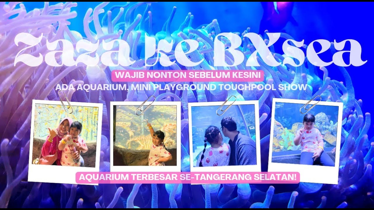 Zaza ke BXSea Aquarium Bintaro | BX Sea Bintaro | BX Sea Aquarium ...