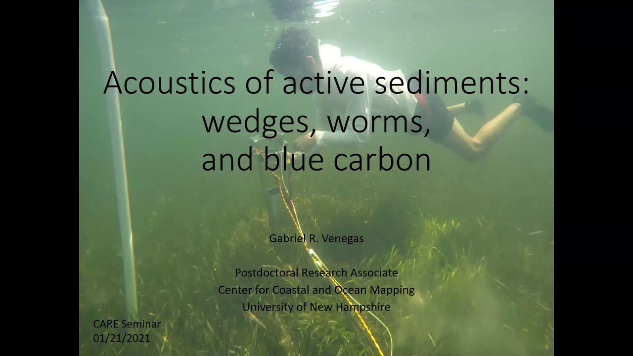 Acoustics of Active Sediments: Wedges, Worms, and Blue Carbon - YouTube