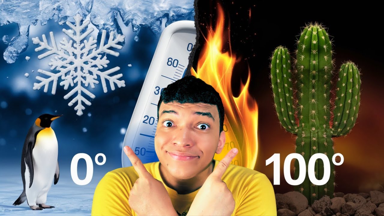 CALOR vs FRIO - Qual é o seu preferido? - YouTube