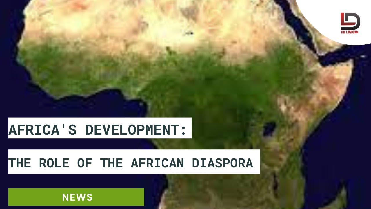 The Lowdown: Role of the diaspora in the development of Africa - YouTube
